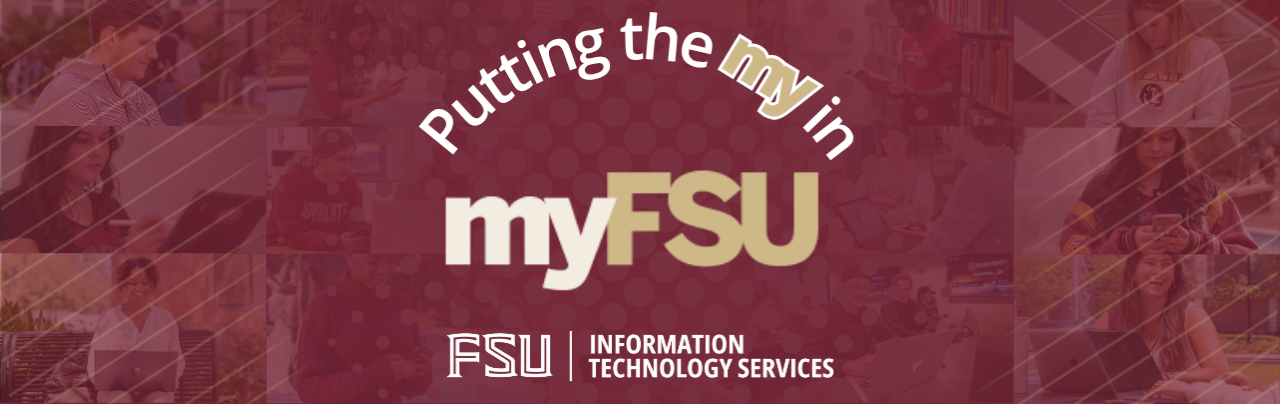 Putting the MY in myFSU Portal